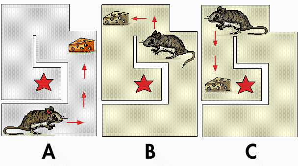 Behaviorism copy1 at emaze Presentation