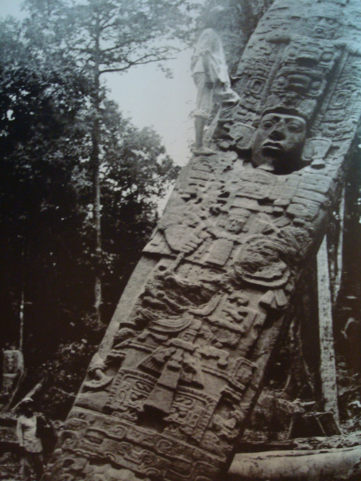 Mayas on emaze