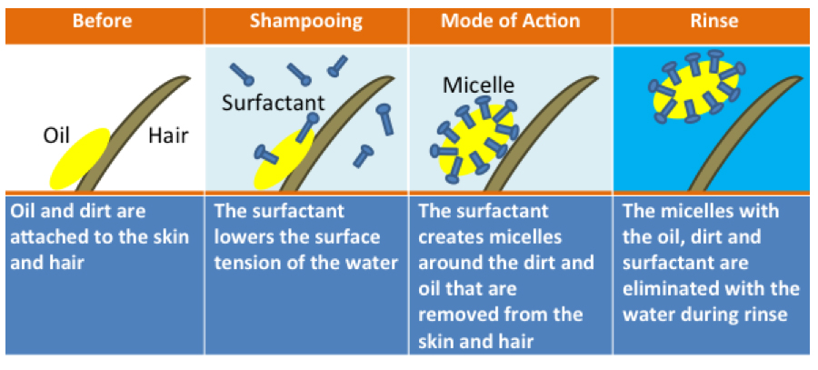 Shampoo at emaze Presentation