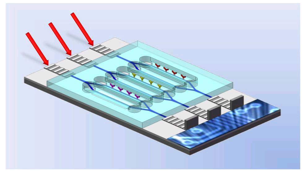 Lab On A Chip Advantages at Timothy Gordon blog