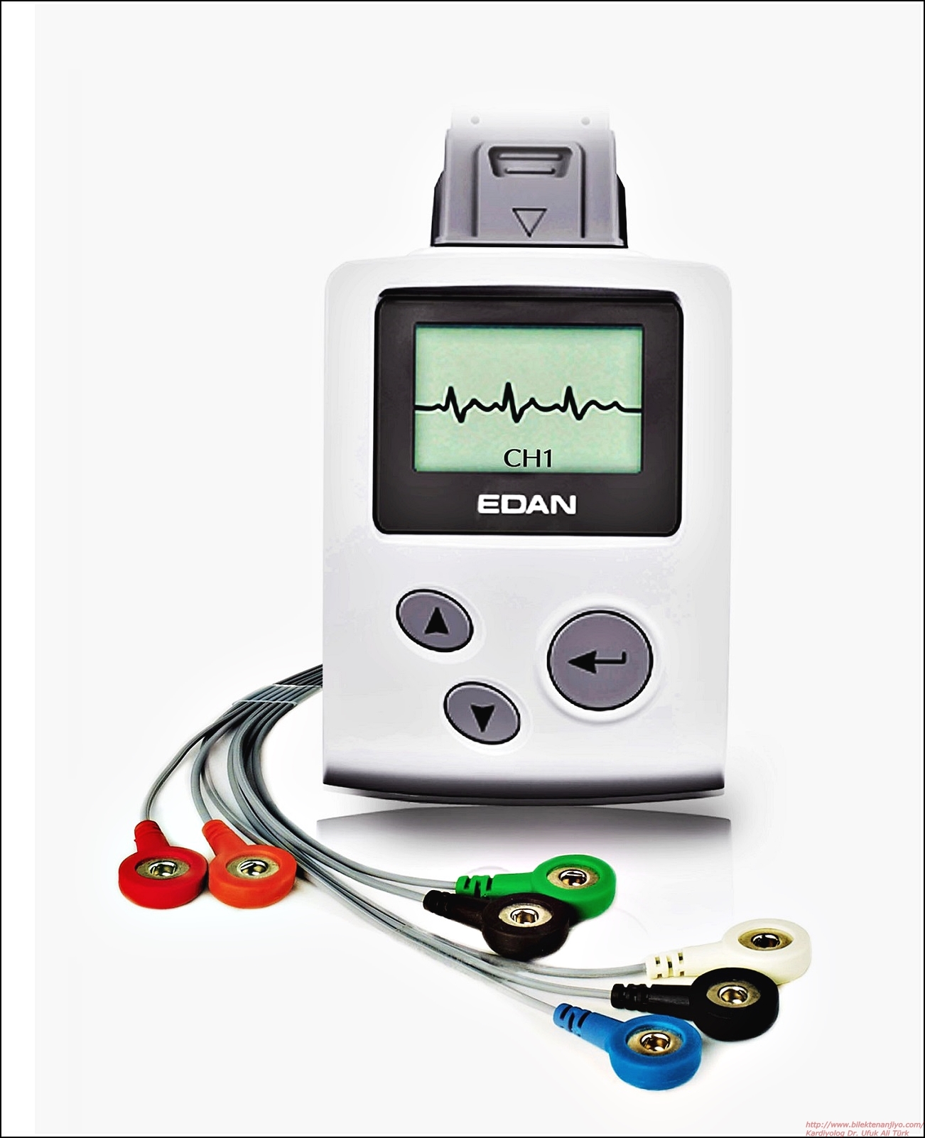 Holter on emaze
