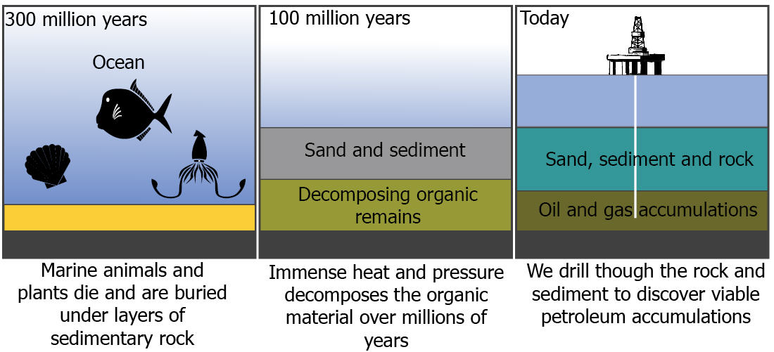 Petroleum at emaze Presentation