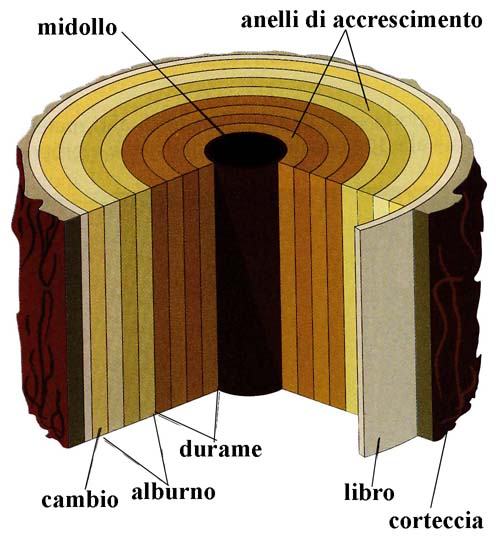 il legno at emaze Presentation