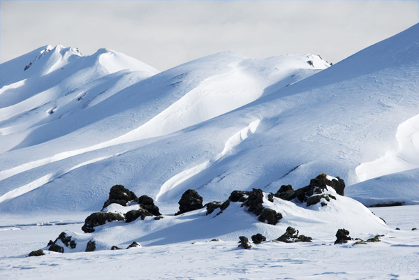 Vegetatietypes at emaze Presentation