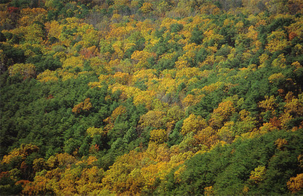 Klimaatzones op aarde on emaze