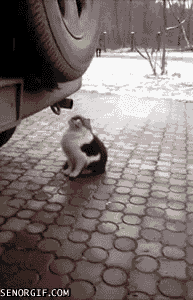 inhalants at emaze Presentation