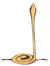 Le Petit Prince on emaze