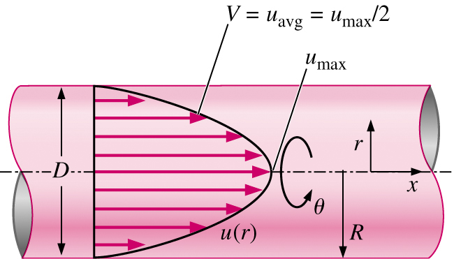 Lecture 8 Internal Flow.pptx on emaze