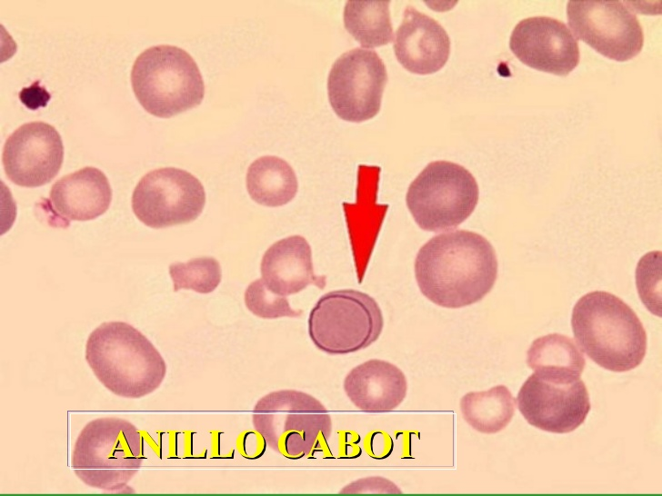 Untitled at emaze Presentation