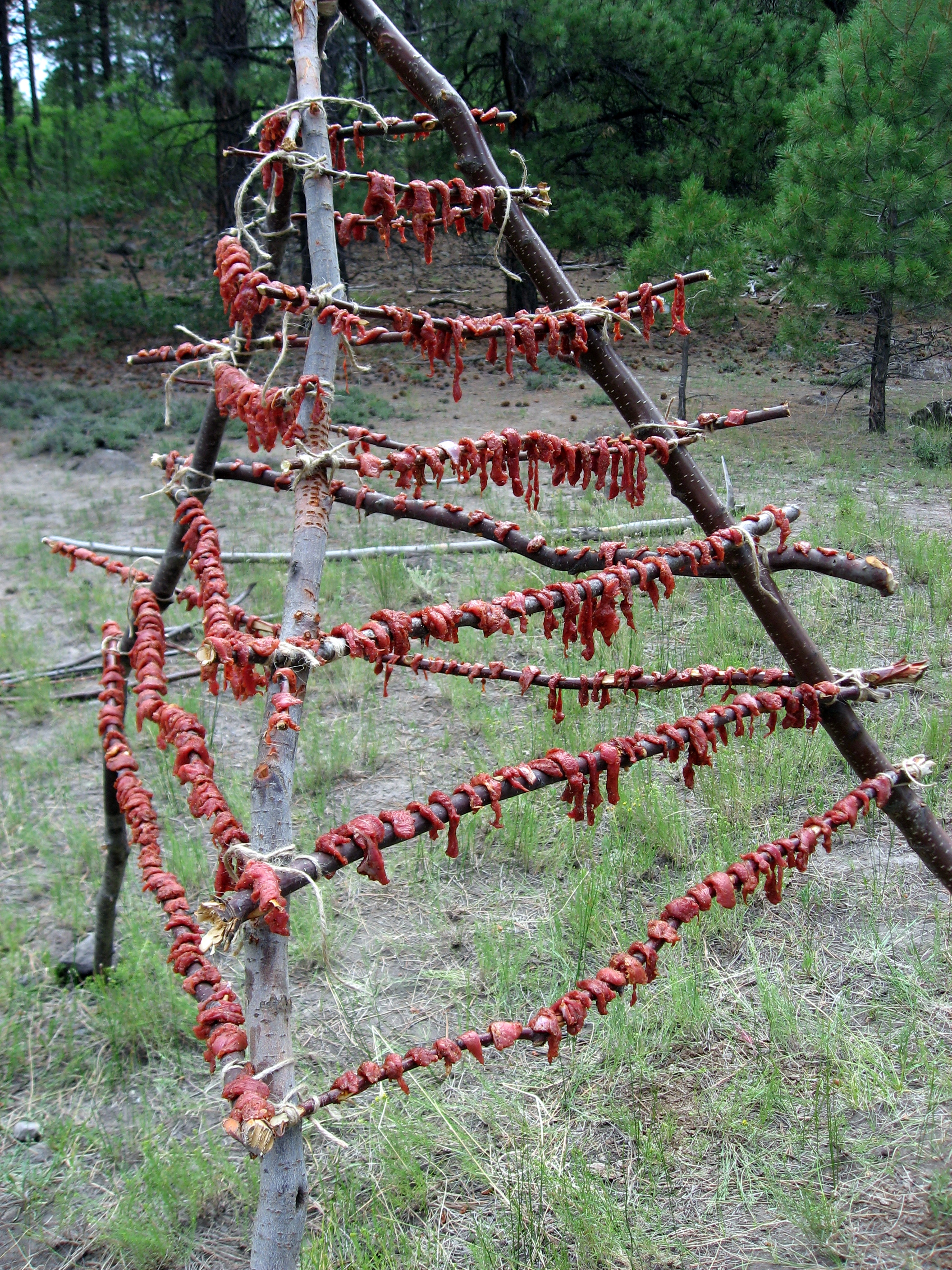 KICKAPOO INDIAN on emaze