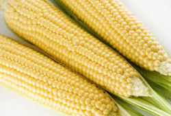 KICKAPOO INDIAN at emaze Presentation