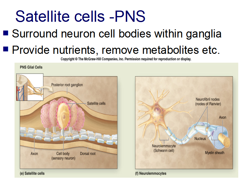 Presentation Name on emaze