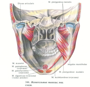 Presentation Name copy2 on emaze