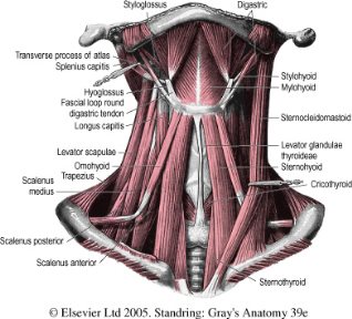 Presentation Name copy2 at emaze Presentation