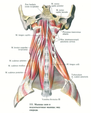 Presentation Name copy2 at emaze Presentation