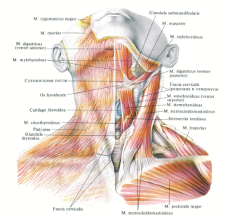 Presentation Name copy2 at emaze Presentation
