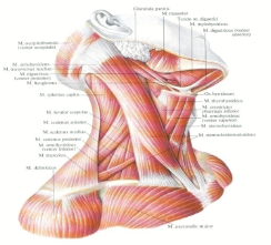 Presentation Name copy2 on emaze