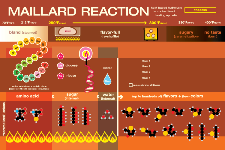 City Lights on emaze