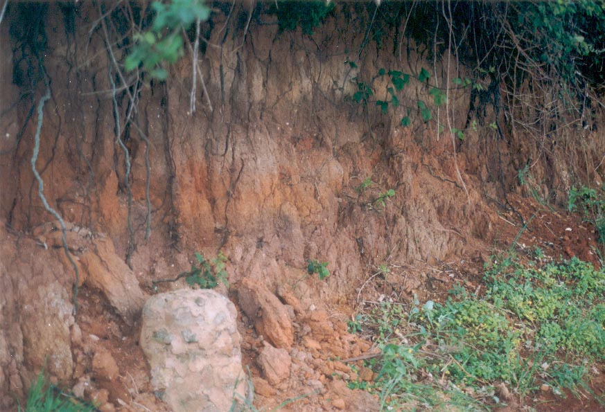 SUELOS at emaze Presentation