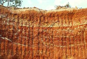 SUELOS at emaze Presentation