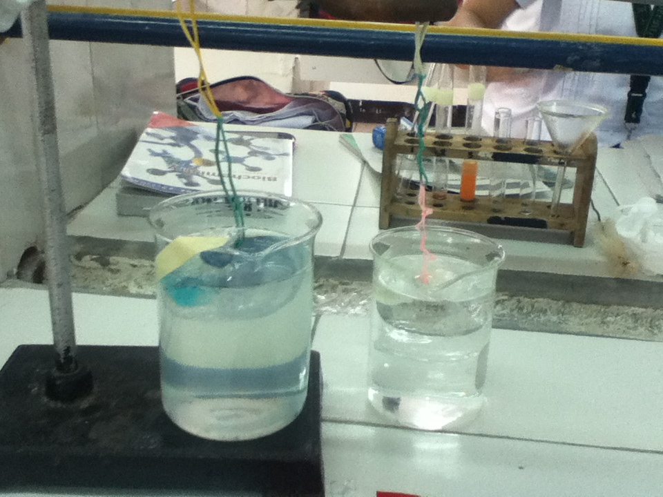 Biochemistry at emaze Presentation