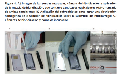 Microarreglos on emaze