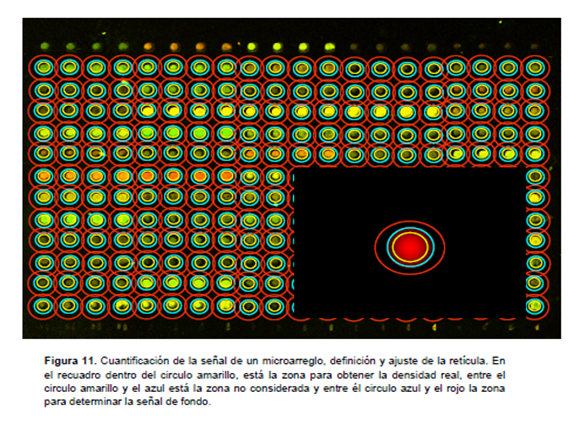Microarreglos on emaze