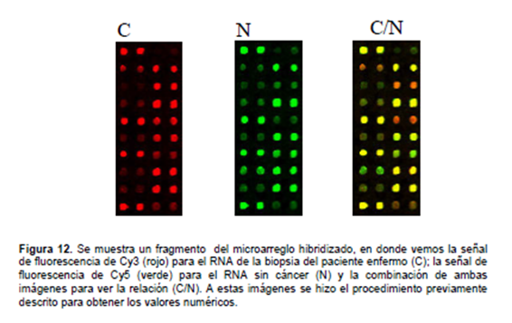 Microarreglos on emaze