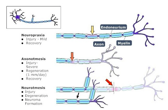 Presentation Name on emaze