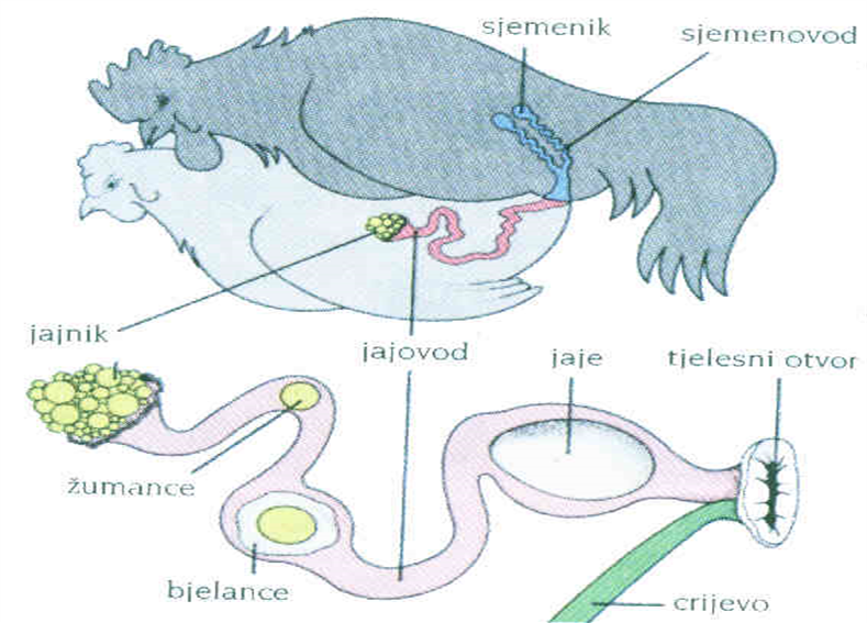 Infinity at emaze Presentation