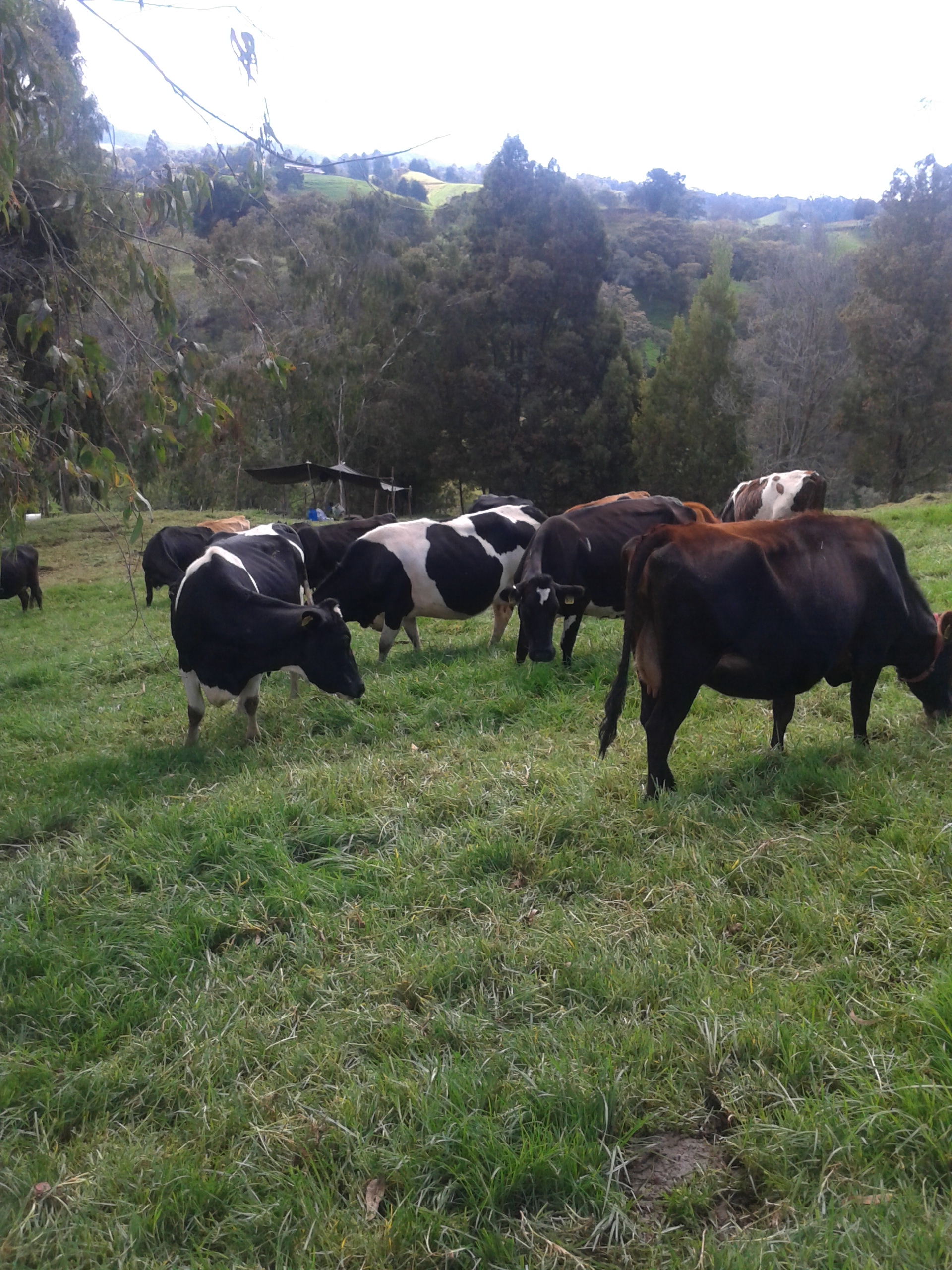 Evaluacioncondicioncorporal.pptx on emaze