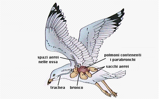 at emaze Presentation