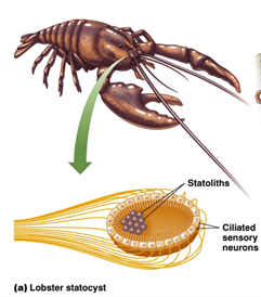 Presentation Name on emaze