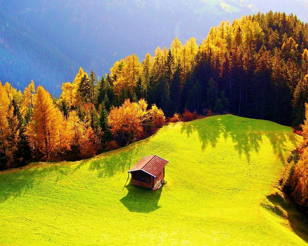 stofuitwisseling cellen en het milieu copy1 on emaze