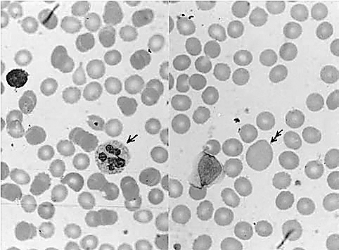 Bioquímica 2 copy1 on emaze
