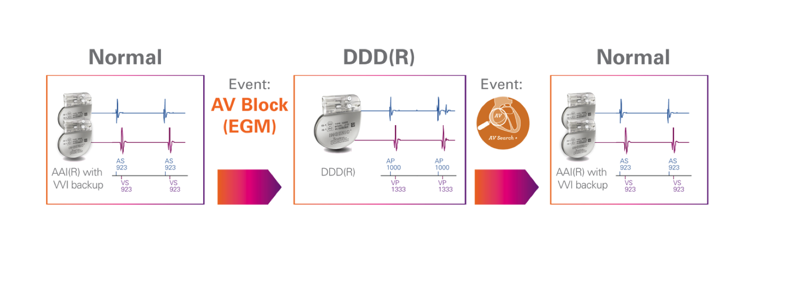 Boston Scientific at emaze Presentation