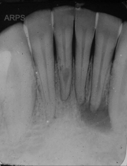 Presentation Name on emaze