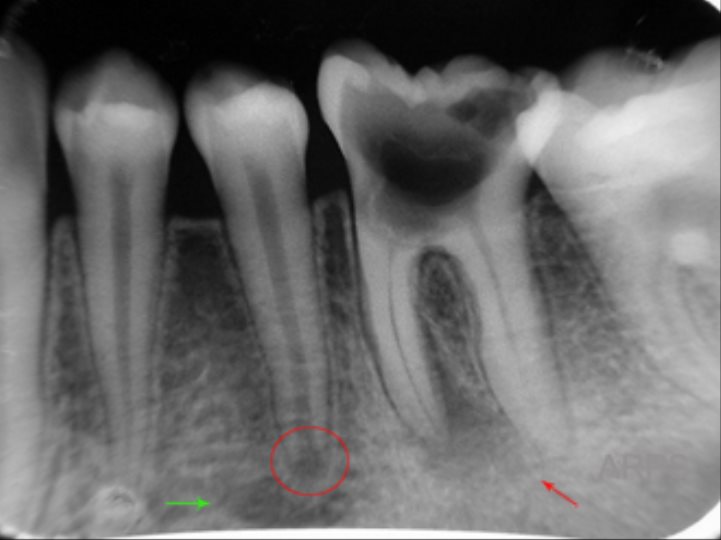 Presentation Name on emaze