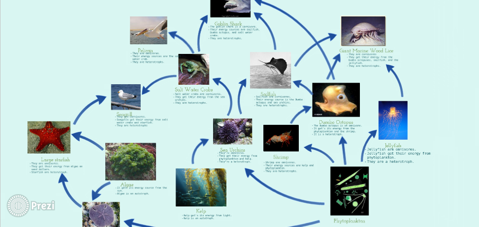 Dumbo octopusBy Amy at emaze Presentation