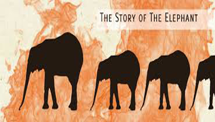 Story of the Elephant at emaze Presentation