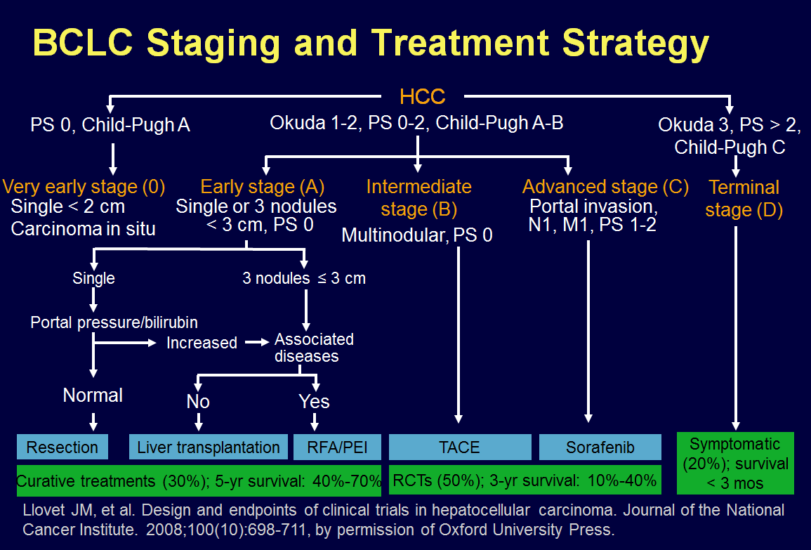 Presentation Name on emaze