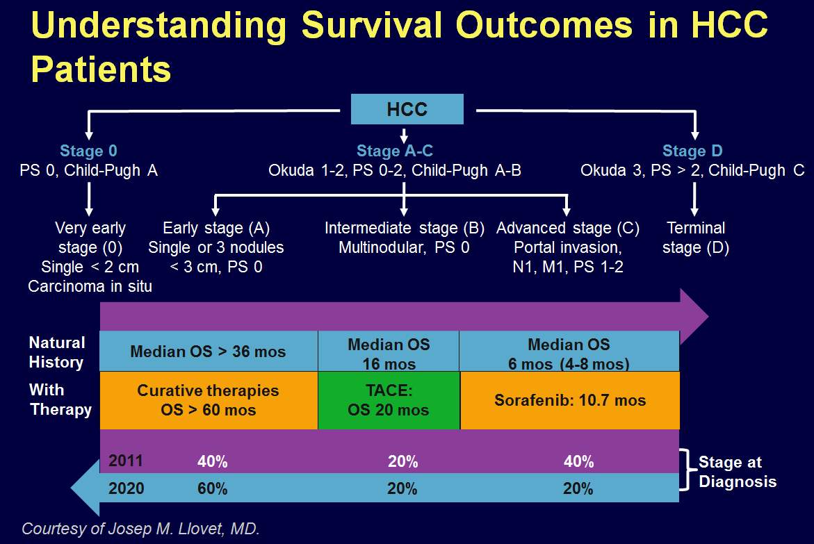 Presentation Name on emaze