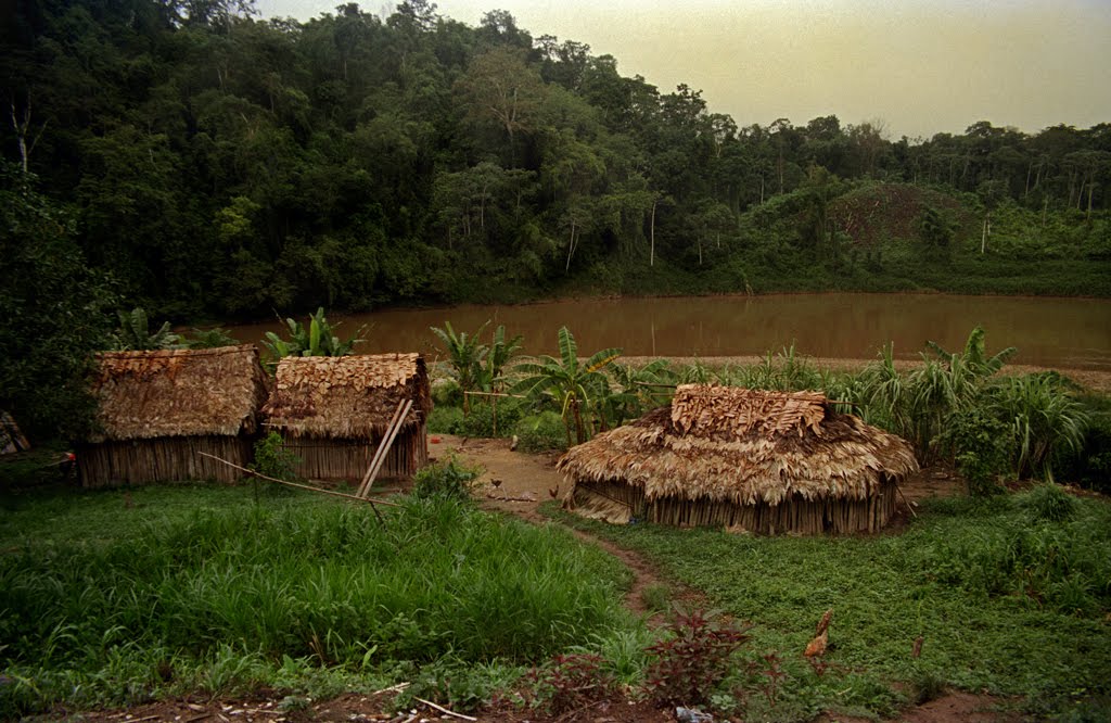 Honduras, English Presentation copy1 copy1 on emaze