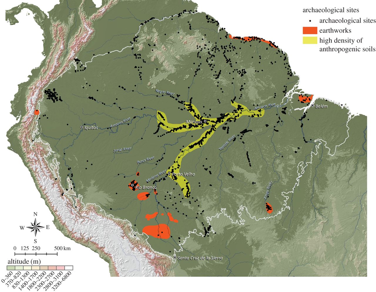 Amazon Rainforest at emaze Presentation