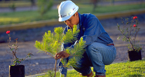 CEMEX at emaze Presentation