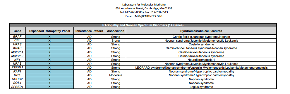 RASopathies on emaze