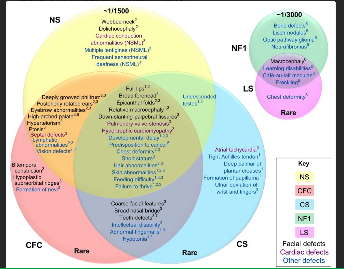 RASopathies on emaze