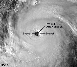 Hurricane on emaze