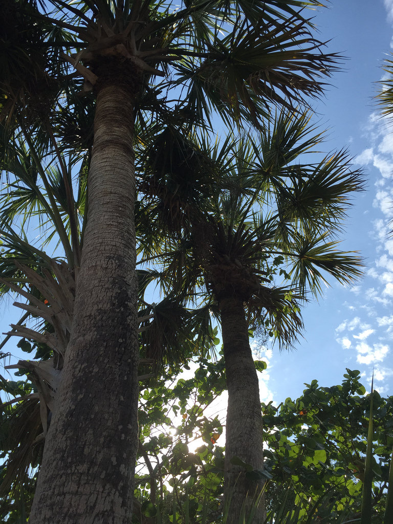 Presentation Name on emaze