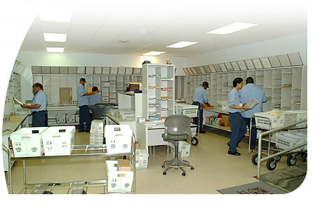 Cell to Hospital at emaze Presentation